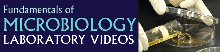 Fundamentals of Microbiology Laboratory Videos